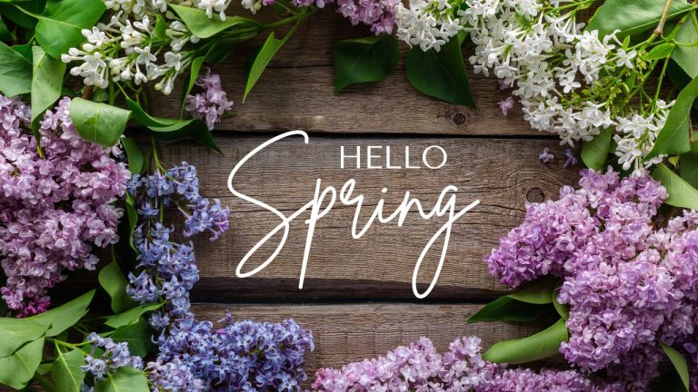 50+ Inspiring Hello Spring Quotes and Sayings - Fab Zania