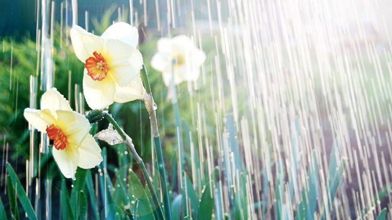101 Fantastic April Captions for Instagram - Fab Zania