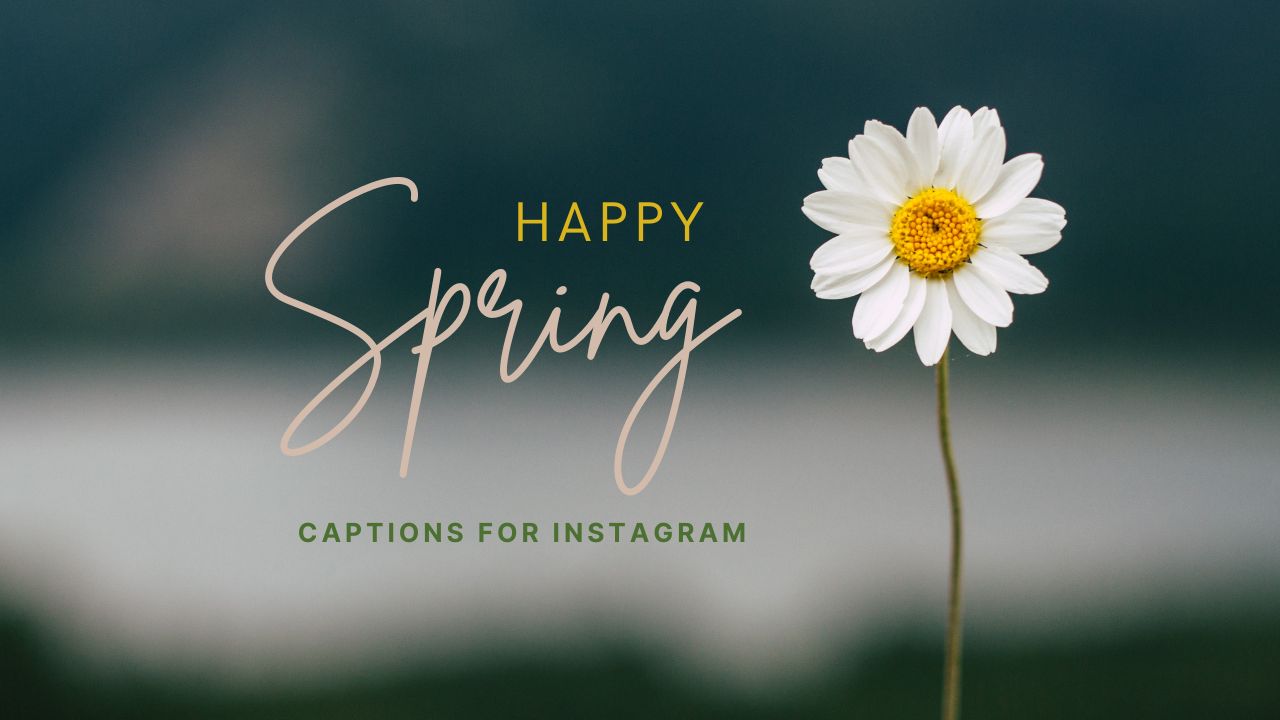 51+ Happy Spring Captions for Instagram #SpringVibes - Fab Zania