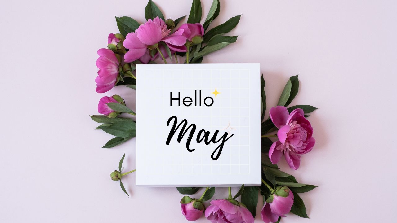 101 Fresh Hello May Captions for Instagram - Fab Zania