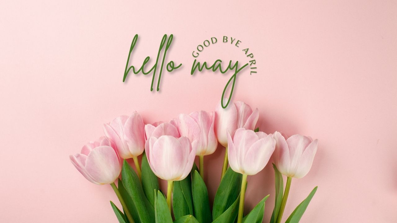 101 Fresh Hello May Captions for Instagram - Fab Zania