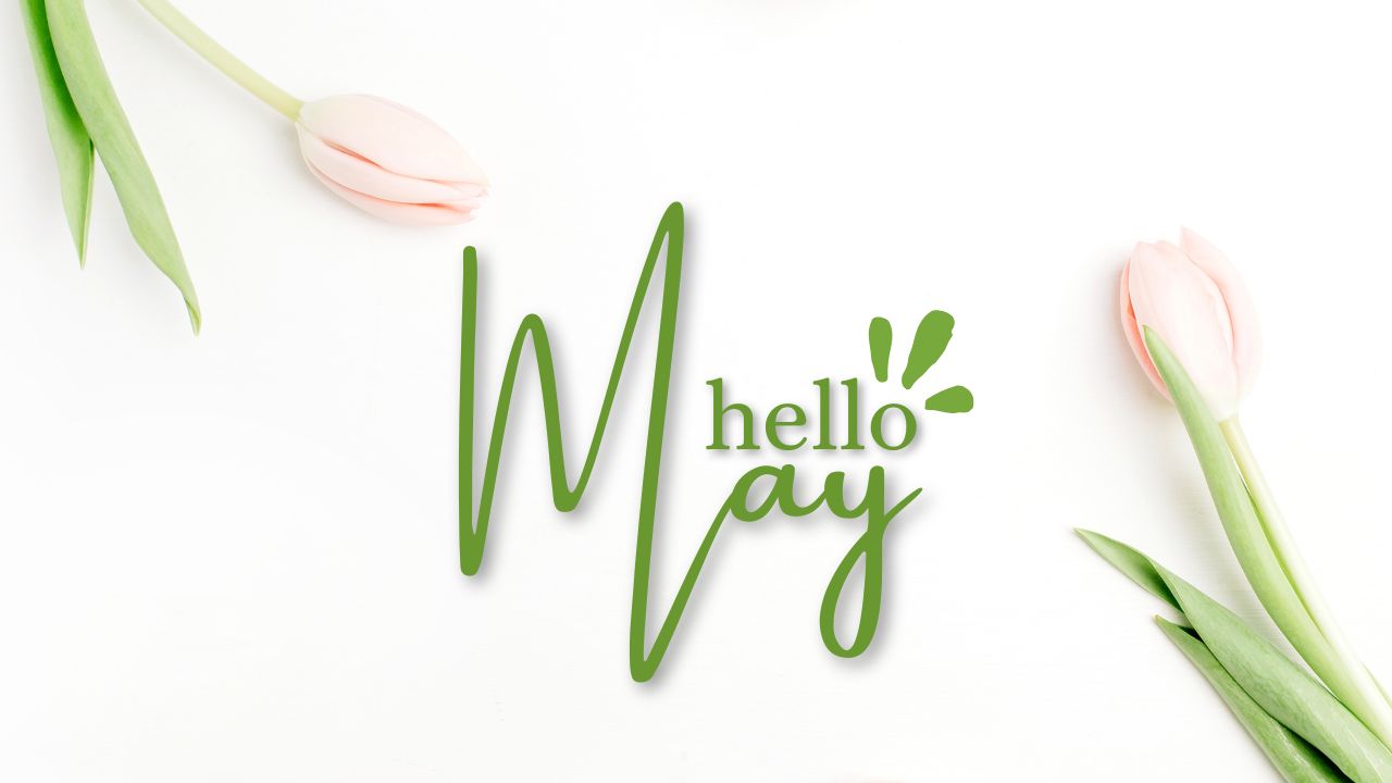 101 Fresh Hello May Captions for Instagram - Fab Zania