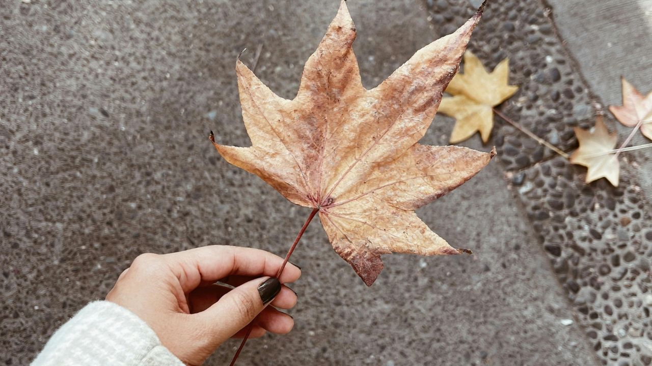 100+ Goodbye September Hello October Captions for Instagram - Fab Zania