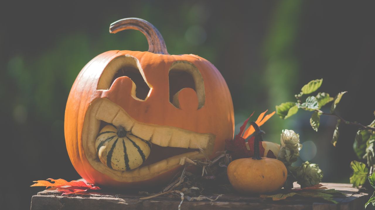 150 Goodbye October, Hello November Captions for Instagram - Fab Zania