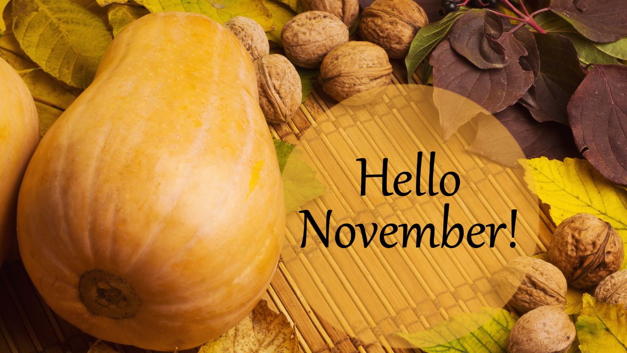 150 Goodbye October, Hello November Captions for Instagram - Fab Zania
