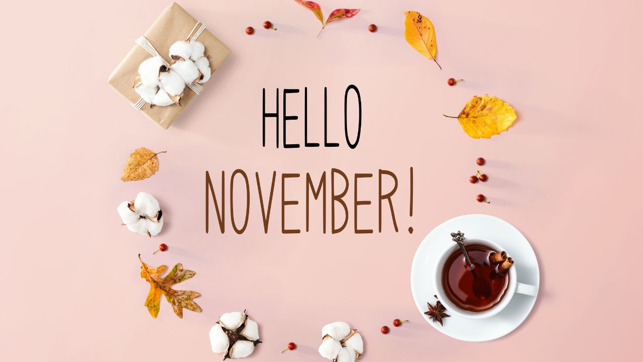 150 Short & Sweet November One-Liner Captions - Fab Zania